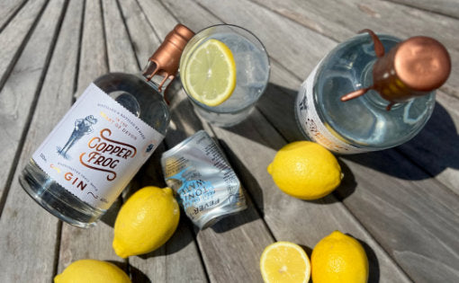 Copper Frog Gin Now at The Grapevine Pub in Exmouth | Devon Craft Gin ...